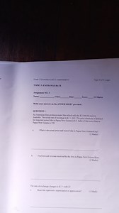 Grade 12 Economics – Exchange Rate ProblemsBackground: An Aus... | Filo