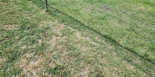 Fenceless housing: Fort Sill families share frustrations over fencing