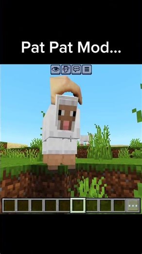Pat Pat Mod ☠️ #minecraft