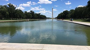 Lincoln Memorial Reflecting Pool to be drained, cleaned after 80 ducks die in water