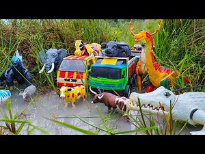 WADIDAU ‼️ PROSES POTONG SAPI KURBAN | Mencari Sapi Kotor Berlumpur, Cow Videos