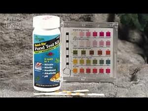 How to Test Pond Water Quality | LiveAquaria.com