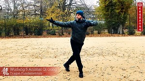 Wudang 5 Animal Qigong - 龍 The Dragon Walk – Mobilization, Stretching, and Balance in Harmony The Dragon Walk transitions fundamental stretching exercises and spinal mobilization from a stationary stance into flowing movement. The principles of sinking and rising, as well as expanding and contracting, remain essential elements in this practice. A key feature is the Yin-Yang step, which not only enhances balance and stability but also strengthens awareness of equilibrium and smooth transitions. T