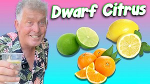 112 reactions · 16 comments | In this Video Chris Lucas our...