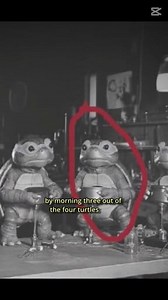 The true story of Ninja Turtles #story #storytelling #History #1960s #scary #ninjaturtles #foryouシ #trending #mystery Dark History Tales | Dark History Tales