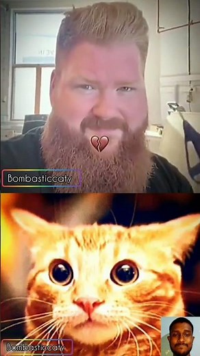 give this video title 💀😂 (warning answer) #cat #dance #memes #trending #funny