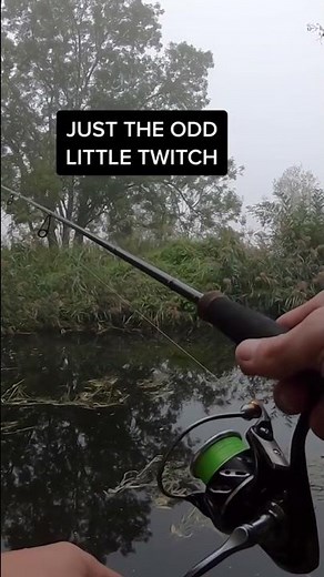 How to Dropshot - Perch Fishing #perchfishing #lurefishing #perchfishinguk #fishing