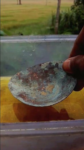 How to Clean Copper with Muriatic Acid #shots