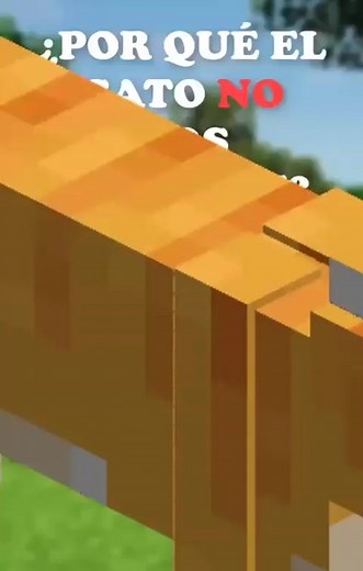 118K views · 4.1K reactions | #PORQUE EL GATO NO NOS DEFIENDE?#minecraft #minecraftshorts #viralreelsシ | Duarte Paredes | Facebook