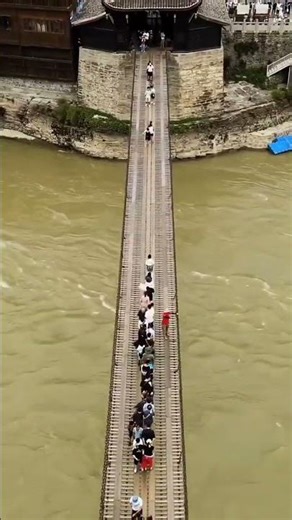 AI Observes Mountain Plants 🌱🏔️🤖