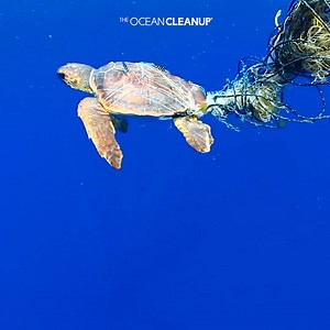 161 reactions · 19 shares | We are on a mission to rid the world’s oceans of plastic. Help us put ourselves out of business (once the oceans are clean). | The Ocean Cleanup | Facebook