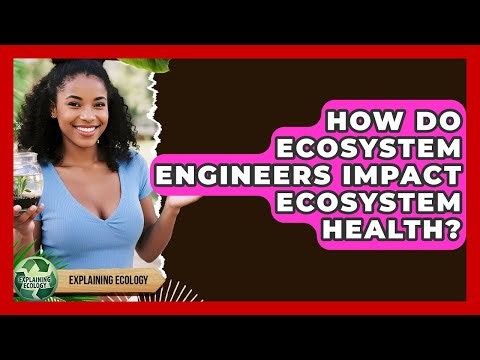 How Do Ecosystem Engineers Impact Ecosystem Health? - Explaining Ecology