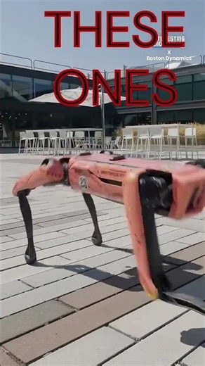 Robot are flexible VS these robot dogs