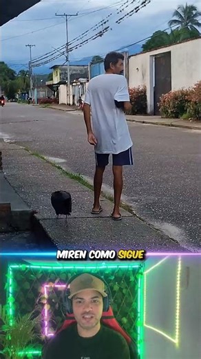 The pimp didn't want to wait for God to do his job! 😂 #shorts #youtubeshorts #videosshorts