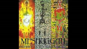 FUTURE BREED MACHINE Lyrics - MESHUGGAH | eLyrics.net