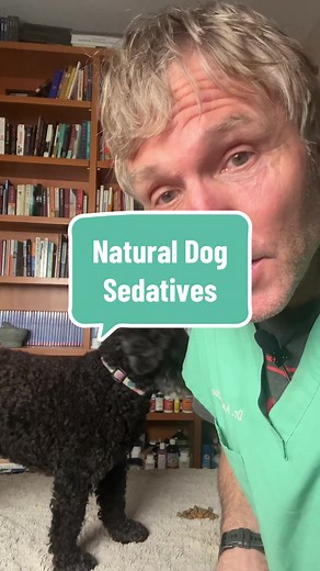 Natural Remedies for Dog Sedation- great to help recovering after surgery #dogsedatives #naturalsedative #sedatives #dogsurgeryrecovery #dogsurgery
