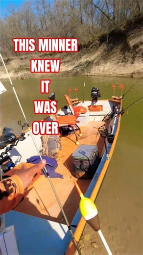 MINNER was all over the place! #fishing #jonboats
