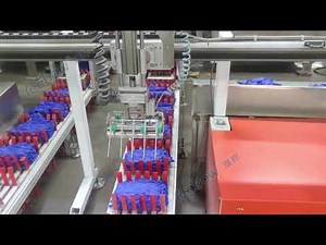 Glove Visual Detection Machine & Glove Auto Stacking Machine & Glove Auto Packing Machine