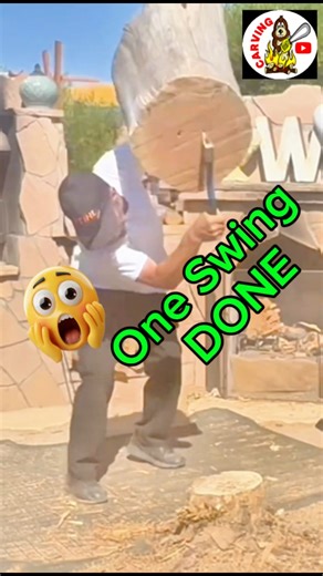 This Log Split Was NOT Supposed To Happen Like That 😅🪵 #Shorts