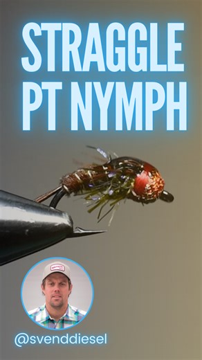 62K views · 1.5K reactions | A Straggle Pheasant Tail Nymph from back when I had short hair and shaved. Recipe: Hook: Stealth C Hook size 16 Thread: Semperfli Classic Waxed 12/0 Tail/Body/legs/wingcase: Pheasant Tail fibers Rib: Semperfli gold .2 mm Flashback/ overwing : Small mirage tinsel Thorax: Semperfli Straggle string Wingcase finish: Solarez Thin #Flytying #svendflies #flyfishing #fullsvendit #ridiculousflies | Svenddiesel | Facebook