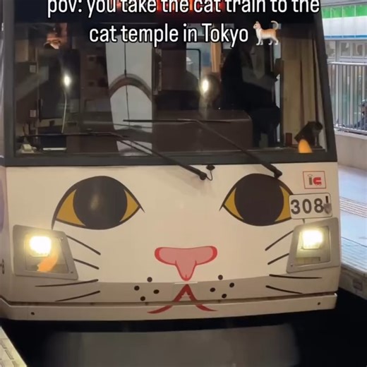 Petos on Instagram: "In a move that has pet owners cheering across the country, a popular beach in Clearwater, Florida has introduced the nation’s first Dog Sunscreen Stations — special booths where pet owners can apply vet-approved, UV-safe sunscreen mist to protect their dogs from harsh sunlight. According to park officials, vets have recently reported a rise in sunburn, paw pad burns, and skin irritation in dogs visiting beaches during peak hours. To solve this, engineers and veterinarians te