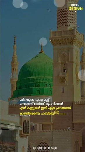മദീനയിൽ പുണ്യ മണ്ണ്💚#madina #muhammad #muslimah #makkah #islam #islamic #miracle #allah #nabi #yaal