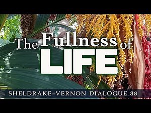 The Fullness of Life: Sheldrake-Vernon Dialogue 88