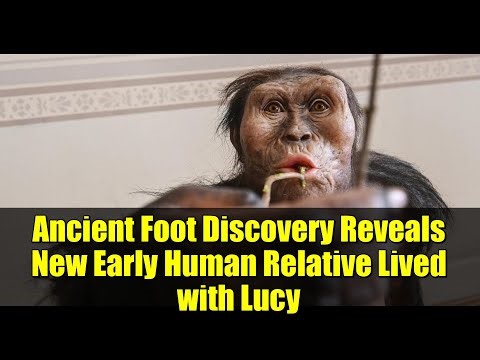Ancient Foot Discovery Reveals New Early Human Relative Lived with Lucy