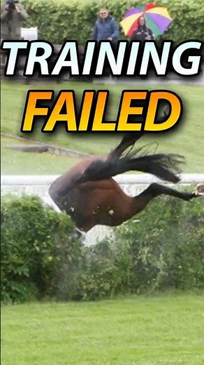 Both Horse and Jockey Were Sent Flying Into the Hedge