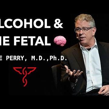 How Alcohol affects the Fetal Brain - Dr. Bruce Perry