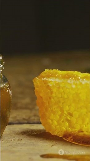 Fascinating Honeybee Facts #animals #animalfacts #facts #wildlife #love