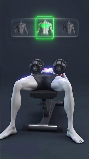 Perfect Dumbbell Bench Press Form 🏋️ | 3D Animatio