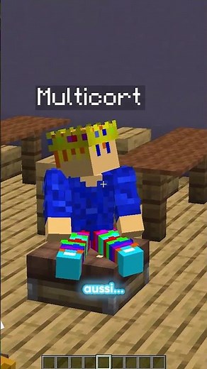 2 zigotos doivent trouver le bloc que je cache