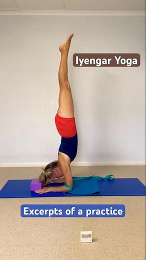Excerpts of a practice | IYENGAR YOGA