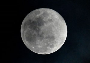 Review: Apollo’s Muse at the Metropolitan Museum of Art