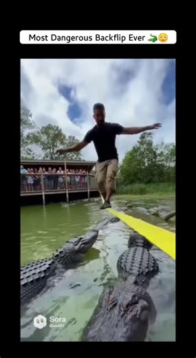 The Most Dangerous Backflip Ever 🐊😳