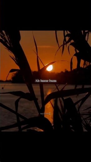 Ab Jaane Hum Ye Pyar Kya Hai🥺💔Hum To Dil Se Haare | Aesthetic | #shorts #lyricssong #explore #vibes