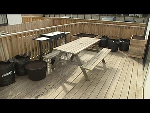 Growing Food In Containers - Episode 2: Choosing containers and growing seedlings