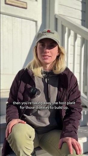 How to Rotate Crops for a Successful Garden | Burpee Seeds, Plants & Supplies