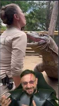 O beijo do Dragão de Komodo #biologohenrique #animais #bichoesperto #biologo