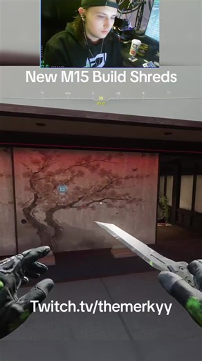 Nuevo M15 Build Shreds en COD
