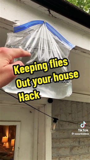 Keeping flies outside hack #dappestcontrol #flies #tricks #facts #pestcontrol #fyp #foryou