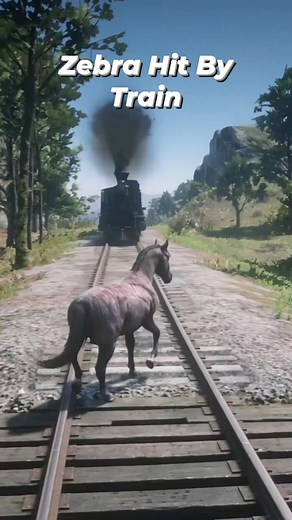 Zebra Hit By Train #zebra #animal #jungle #train #game #gaming #freefire #pubg #viral #reels #shorts #ytshorts #fbreels #trending | DarkShadows