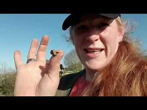 Nokta Makro Simplex, Legend, Minelab Equinox 600, 800 compared. Field test 4 Detectors.