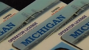 Michigan driver's licenses to contain emergency contact information
