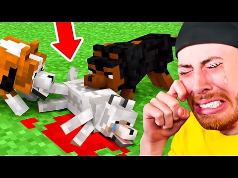 *SADDEST* Minecraft Animations (You Will Cry)