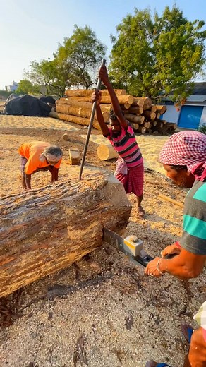 How to Match Box Making in Factory #reels #shorts #matchbox #makingvideo | இந்திய பெருங்கடல் மீனவன் Indian Ocean Fisherman