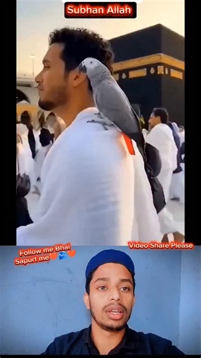 🕋🕋🕋💗💗🥀🥀💞💞💐 #SubhanAllah #Makkah #Kaaba #Parrot #Umrah #Hajj #IslamicVideo #AfricanGrey #Support #YouTube #Viral #Muslim #Pilgrimage | ISL Sarmul786