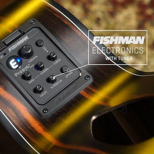 The Michael Kelly Dragonfly 5 acoustic bass brings beauty visually and tonally to your professional gig, worship service, or campfire jam. The signature Abalone and Pearl dragonfly inlay is eye-catching and distinctive — you’ll reach for it again and again. | Michael Kelly Guitars