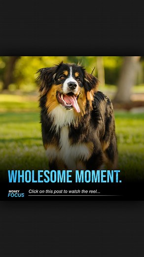 An elderly woman being interviewed by a television crew was literally counting her blessings after her beloved schnauzer peaked out from beneath the rubble in Moore, OK and was spotted by a producer. “Bless your little bitty heart!” cooed Barbara Garcia, who stooped down surrounded by the debris of her flattened neighborhood. “I thought God just answered one prayer,” she said, alluding to her own safety. “He answered both of them.” Like this content? Follow us @Money.Focus 🔥 DM for credit or re